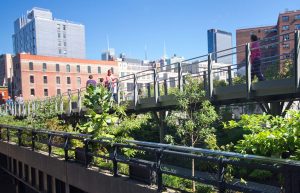 NYC Green Project - Utility Locating & Ground Penetrating Radar